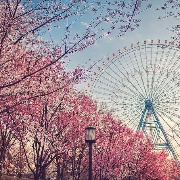 The Prettiest Spring LookBook That Will Make You Want Spring ASAP ...